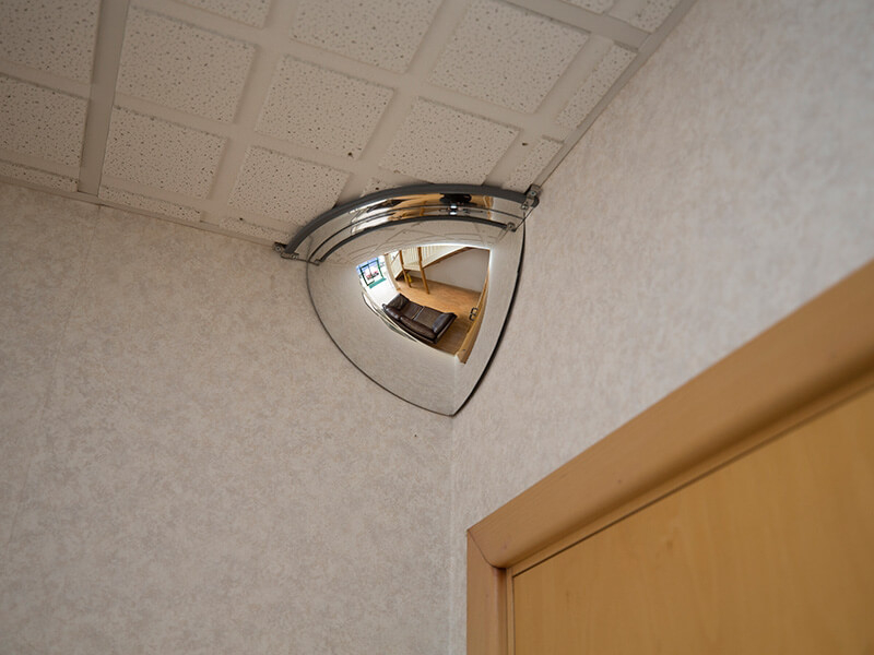 Quarter Dome Mirror | Free Delivery