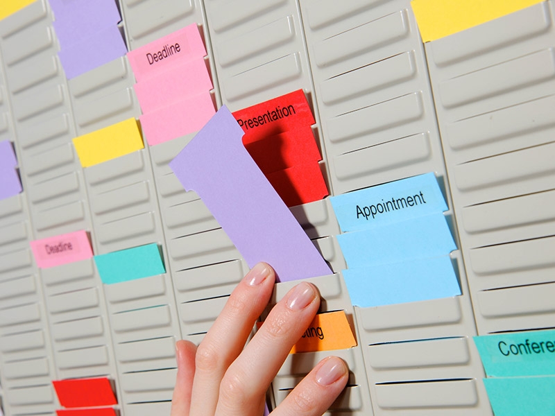 Plain T-Cards | Free Delivery