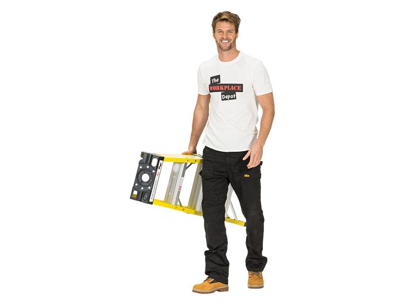 4 Step Ladder | Free Delivery