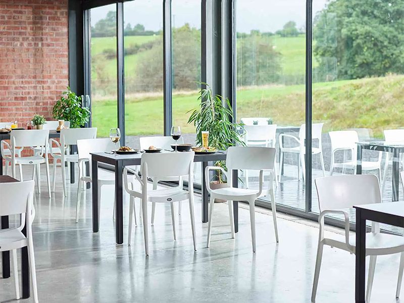 Vivo Polypropylene Arm Chair | Free Delivery