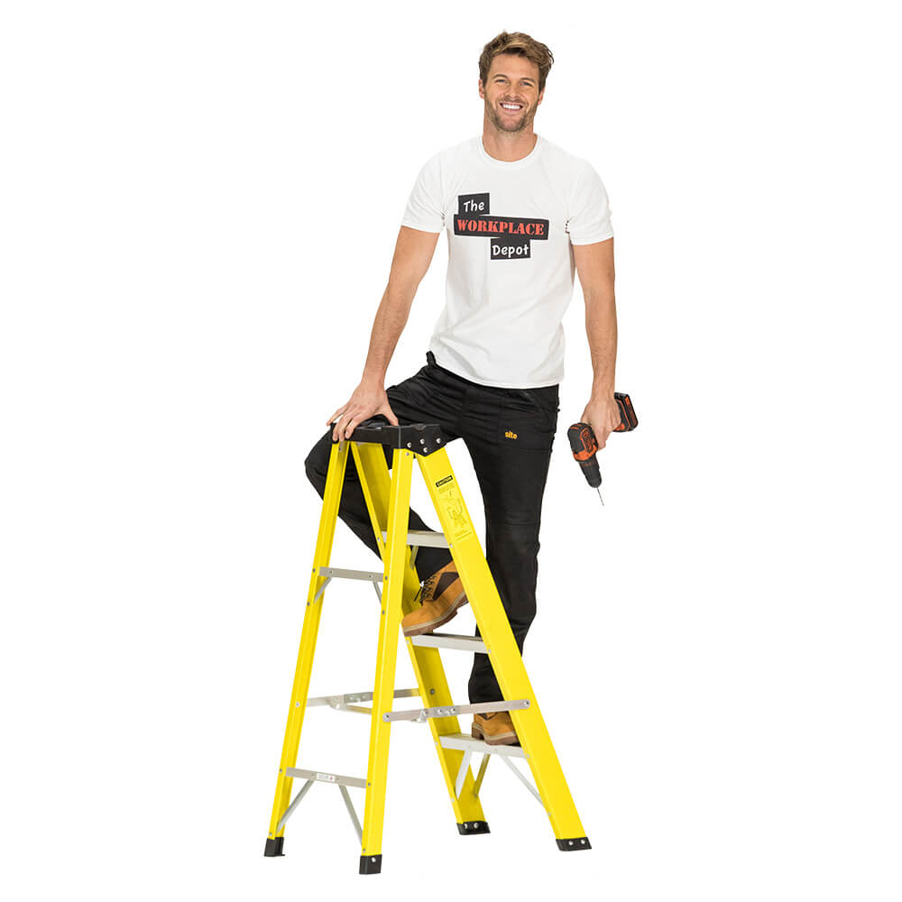 4 Step Ladder | Free Delivery